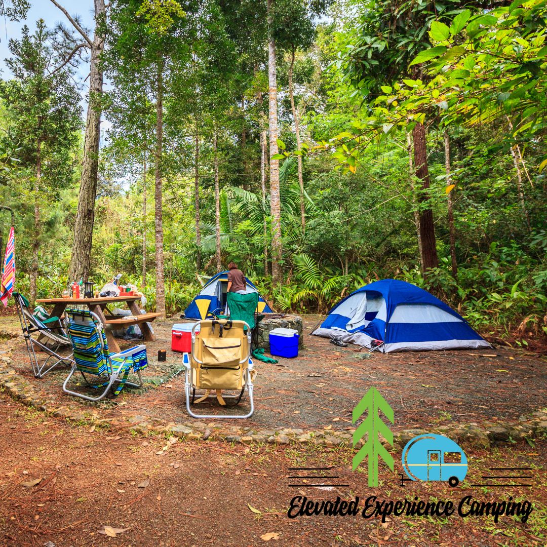 How Do I Get A Campsite in Alberta? - Elevated Experience Camping